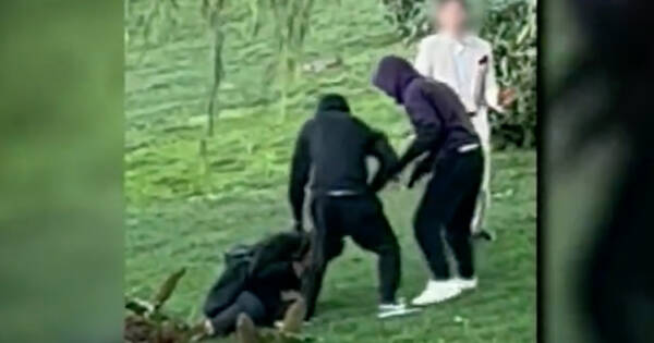 WEDDING ATTACK: San Fran Photographer Pistol-Whipped, Robbed During ...