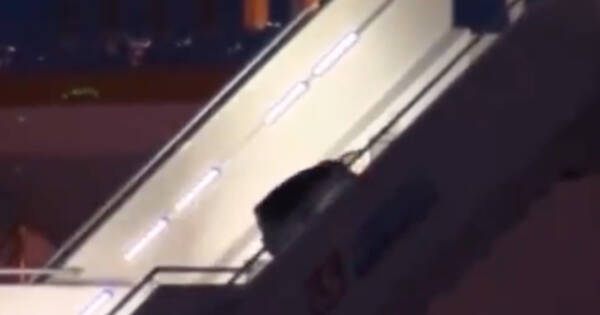 BRANDON FALLS! Biden Wipes Out While Boarding Air Force One in Poland ...